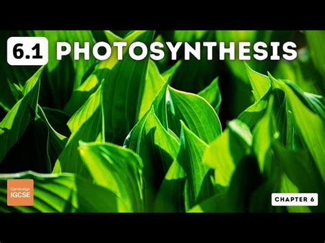 Is The 100 Days Of Code Python Bootcamp Worth It A Comprehensive