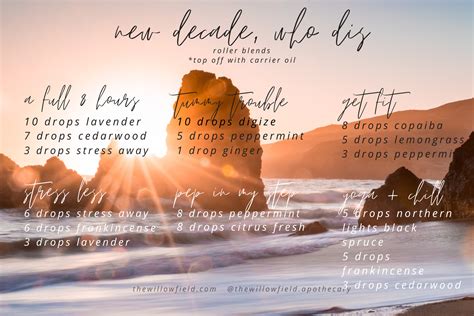 New Year New You Diffuser Blends — The Willow Field