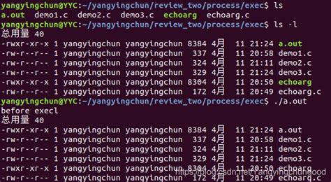 exec族函数————execl execlp execle execv execvp execvpe exec族函数介绍 csdn博客