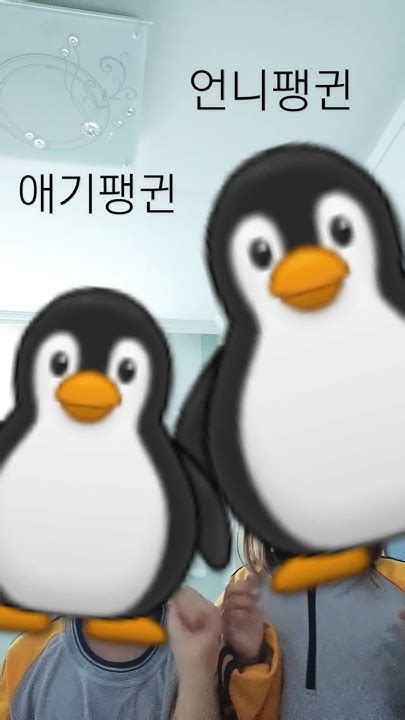 팽귄 Youtube