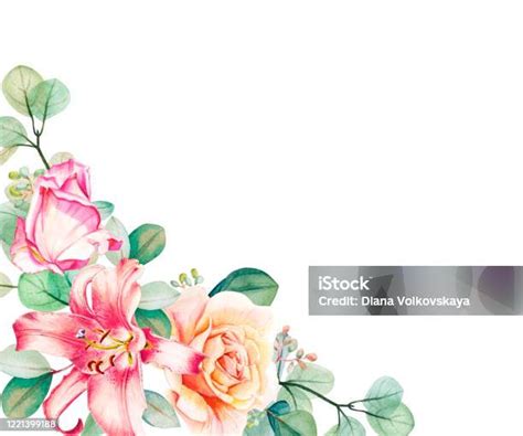 수채화 꽃 유칼립투스 핑크와 차 장미와 백합 꽃다발 프레임 템플릿 손으로 그린 그림입니다 만개 한 꽃 풍경 0명에 대한 스톡 벡터 아트 및 기타 이미지 Istock