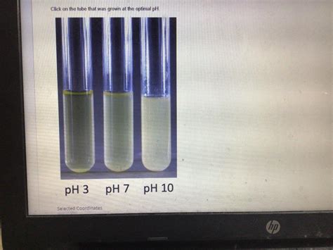 Solved Spectrovis Plus Transmittance Absorbance Vala Colony