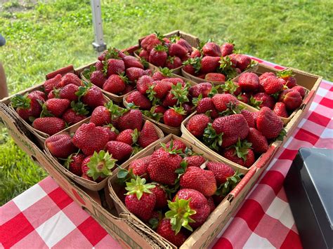 Sweet Grass Of Ohio They Are Getting Cuter By The Day🥰🤩 Facebook