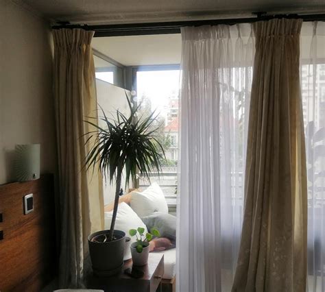 Dracaena Marginata Lower Leaves Yellowing House Plant Journal