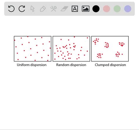 Solveda Uniform Dispersion Pattern Implies That Members Of A