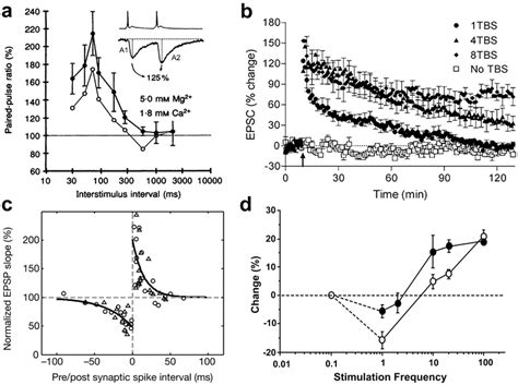 Typical Synaptic Plasticity In Biology A Paired‐pulse Facilitation