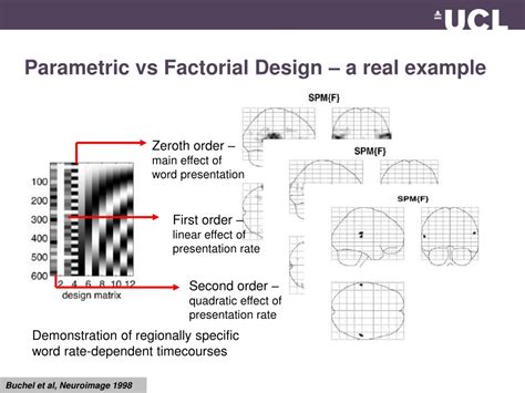 ppt parametric modulation temporal basis functions and correlated