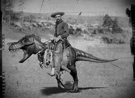 35 Funny Pictures Thatll Crazy Up Your Humorless Day Team Jimmy Joe