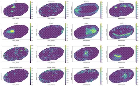 run stitch3d on the drosophila embryo dataset — stitch3d v1 0 3