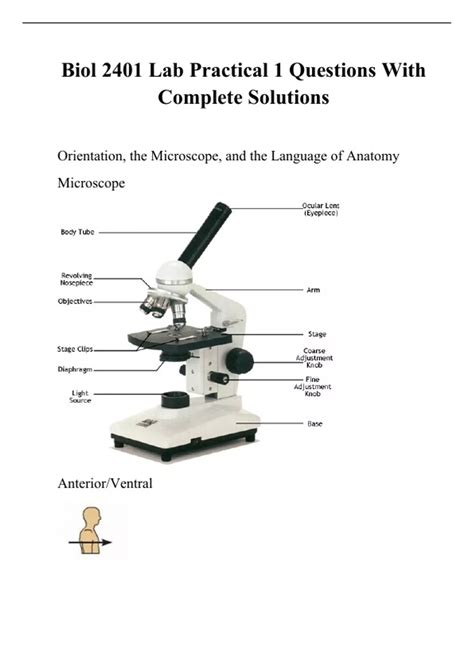 Biol 2401 Lab Practical 1 Questions With Complete Solutions Biol 2401 Stuvia US