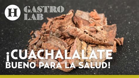 Cura La Colitis Con El Cuachalalate Investigadores De La UNAM