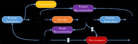 The Framework Of Feature Separation The Networks Are Combined With