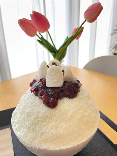 임신 33주차 임산부 증상 태아 발달 역아돌리기 운동 팥빙수를 찾아서 C19 재확산 [까토 임신육아일기 33주 6일