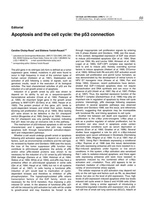 Pdf Apoptosis And The Cell Cycle The P53 Connection