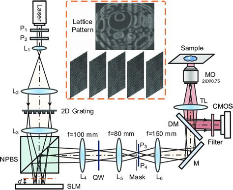 The Schematic Setup Of High Throughput Lattice Sim The Bottom And Top Download Scientific