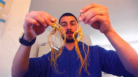 Health Benefits Of Ginseng Youtube