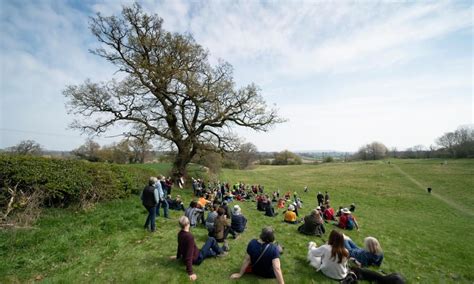 Darwins Oak To Be Felled To Make Way For Shrewsbury