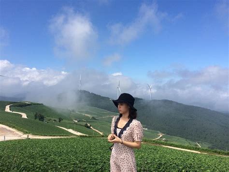 정신 없는 요즘 연인과 함께 릴렉스한 여행을 하고 싶다면 이번 주말을 활용해 강원도 태백으로 여행을 떠나보는건 어떤가요 맑은 공기와 가슴까지 시원해지도록 뻥 뚫린 뷰를