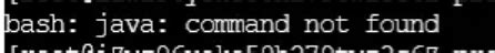 Springboot Linux Csdn