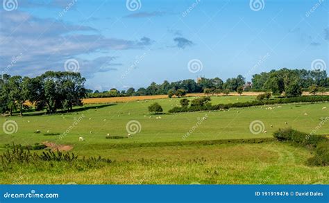 A View Of Rolling English Countryside In Summer Stock Photo Image Of