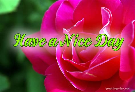 Have A Nice Day Daily Wishes S Pictures