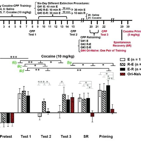 Effects Of The Extinction Retrieval Extinction And Download Scientific Diagram