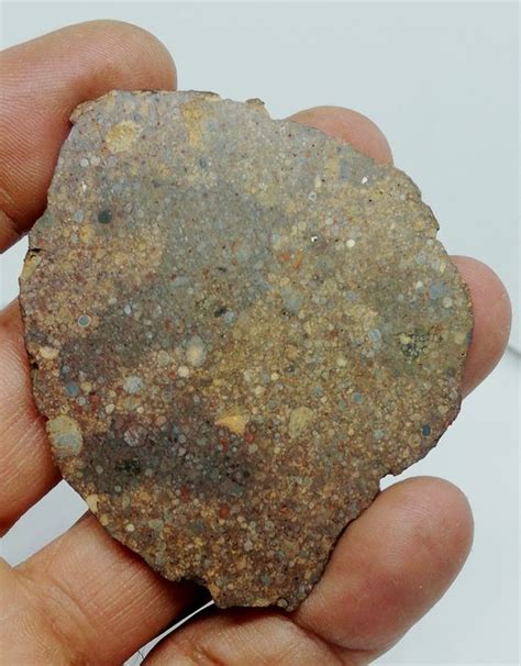 Beautiful Full Slice Chondrite Type 3 Nwa Xxxx Polished Catawiki