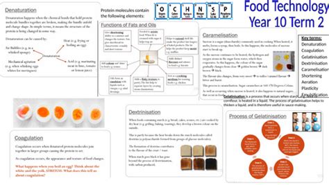 Gcse Dandt And Food Tech Revision Bundle Teaching Resources