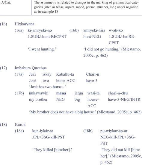 Types Of Asymmetric Negative Constructions Value Definition Afin The