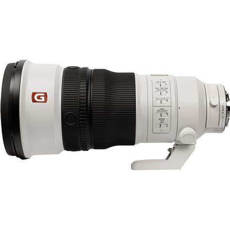 Анонс Sony FE 2.8/300 GM OSS | Радожива