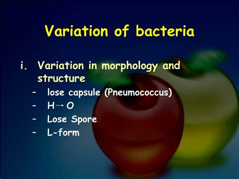 Ppt Chapter4 Heredity And Variation Of Bacteria Powerpoint Presentation Id 2924398