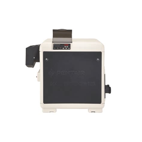 Pentair MasterTemp 125 Factory Direct Pool Equipment