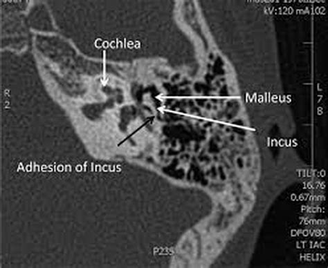 Name The View Medizzy