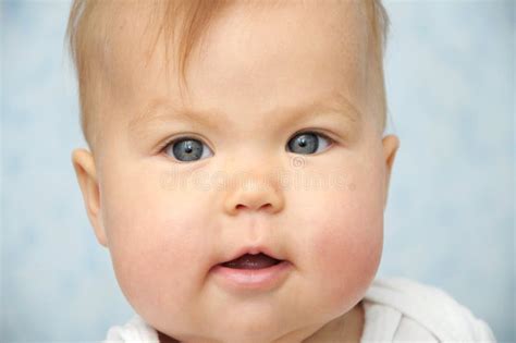 Bambino Adorabile Del Bambino Con Le Guance Paffute Fotografia Stock