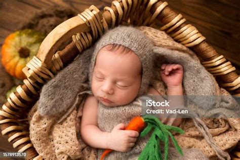 귀여운 갓 태어난 남자 아기는 생애 첫날에 회색 작업복을 입고 잔다 짙은 갈색 나무를 배경으로 고리 버들 세공 나무 바구니에 펠트 장난감 오렌지 당근 오렌지 할로윈 호박과