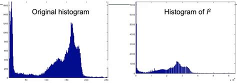 histogram y liu