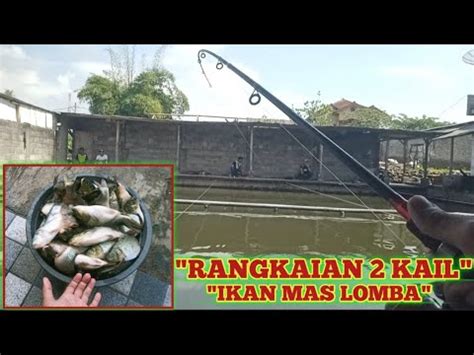 GACOR RANGKAIAN PANCING 2 MATA KAIL UNTUK IKAN MAS YouTube