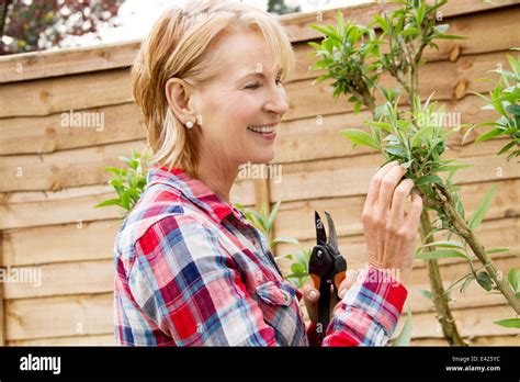 Woman Pruning Tree Hi Res Stock Photography And Images Alamy