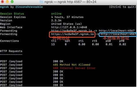 通过ngrok搭建github的webhook Chenyulong