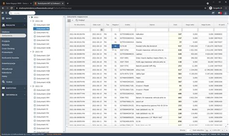 Program Wms Ai 18 Demo On Line