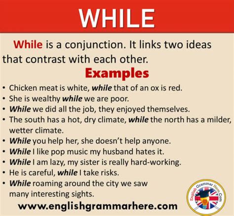 How To Use While In English Definition And Example Sentences English