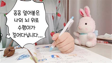 스터디윗미study With Me🎀 Youtube