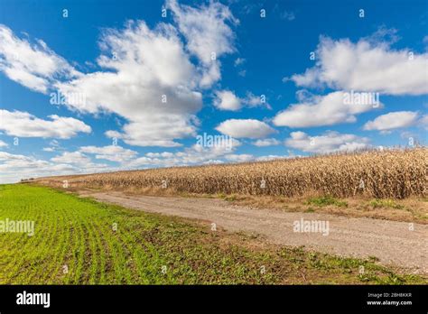 Canada Nova Scotia Annapolis Valley Wolfville Farm Field Autumn