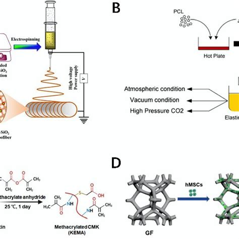 Schematic Diagram Of The Preparation Of Biocomposite Scaffolds And