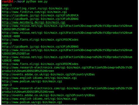 黑客小白用Python打造自己的渗透工具