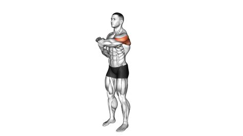 10 Exercises For Side Deltoids That Will Transform Your Shoulders Workout Guru