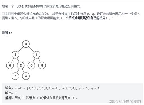 Leetcode236 二叉树的最近公共祖先 Csdn博客