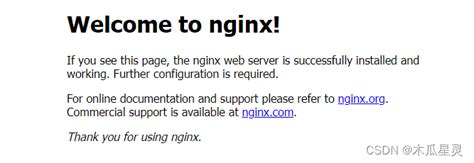 Nginx Nginx Csdn