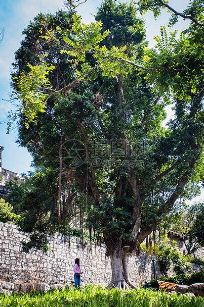澳门炮台古城墙高清图片下载 正版图片500887570 摄图网