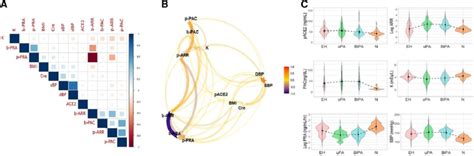 A The Correlation Matrix Among The Levels Of Various Biomarkers The Download Scientific